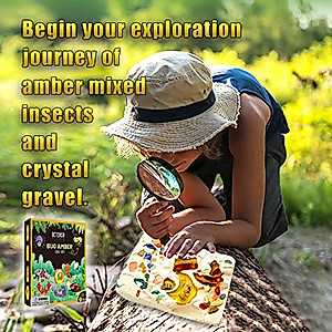 Amber Dig Kit Includes Excavate 12Pcs Insect Ambers and Many Crystal Stones As Fun Geology Science STEM Educational Bugs Toys for Science Educational (Bugs)