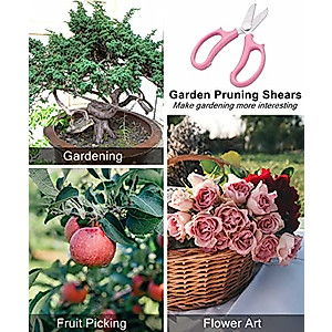 RUNGANG Floral Shears, Premium Stainless Steel Garden Pruning Shears Floral Fruits Leaf Scissors, Comfortable Hand Pruner Snip Trimming Tool for Gardening Flower Arrangement - Pink