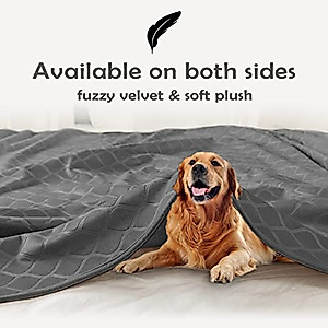 fuguitex Dog Blanket Bed Cover Dog Crystal Velvet Moroccan Fuzzy Cozy Plush Pet Blanket Throw Blanket for Couch Sofa