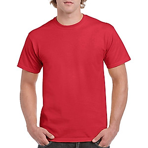Gildan mens Heavy Cotton T-shirt, Style G5000, Multipack Shirt, Red (2-pack), Large US