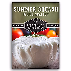 Survival Garden Seeds - White Scallop Summer Squash Seed for Planting - Packet with Instructions to Plant and Grow Patty Pan Squash in Your Home Vegetable Garden - Non-GMO Heirloom Variety