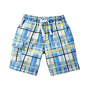 Little Bitty Toddler Boy Clothes 3T Boys Summer Outfits Clothing Cotton Dinosaur T-Shirt & Shorts set, Multi Pattern 3-4Y/3T