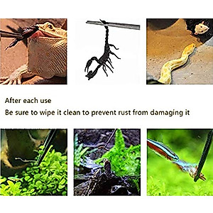 MRTIOO Reptile Stainless Steel Long Tweezers Feeding Tongs, Lizards Snake Gecko and Tarantula Supplies, Terrariums Aquarium Fish Tank Tools - Black 2Pcs