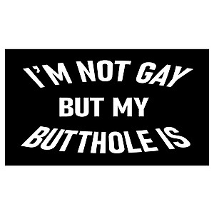 I'm Not Gay But My Butthole Is Bumper Sticker 2 Sticker Deal 3x9 and 2x2 Funny Car Decal I'm Not Gay But My Butthole Is