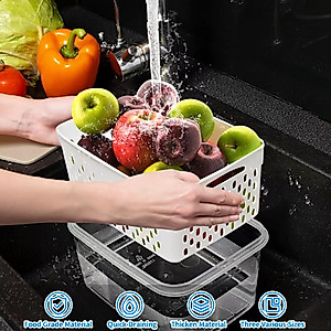 Aero Zen Fruit Storage Containers for Fridge with Removable Strainer,Vegetable Salad Crisper,BPA-Free Refrigerator Organiser,Not Dishwasher Safe,Keep Berry Fruit Vegetable Food Meat Fresh Longer