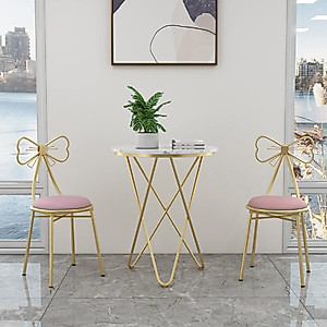 DUANY STORE Makeup Vanity Girl Chairs Stool for Bedroom with Bow Knot Backrest,Side Table Seat Dressing Chair with Golden Metal Leg,Velvet Cushion for Girl Daughter Room