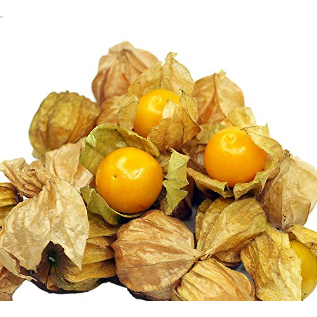 Pineapple Tomatillo Heirloom Seeds - Physalis pruinosa - B271 (135 Seeds, or 1/10 Gram)