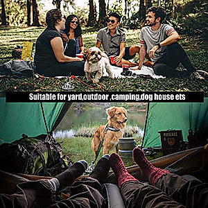 Anipaw 360° Swivel Dog Tie Out Stake, Heavy Stainless Steel Dog Anchor, Yard Stake Rust Proof Dog Tether Hold, 1500 Lbs of Pull Force, Great for Outside Yard Camping Lawn, Suit for Any Kind of Breeds