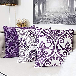 Homey COZY 82018-Aria Accent Pillow, Single, Purple