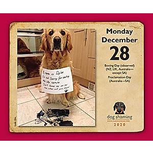 Dog Shaming 2020 Day-to-Day Calendar
