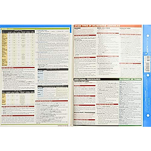 Robert's Rules of Order SparkCharts (Volume 61)