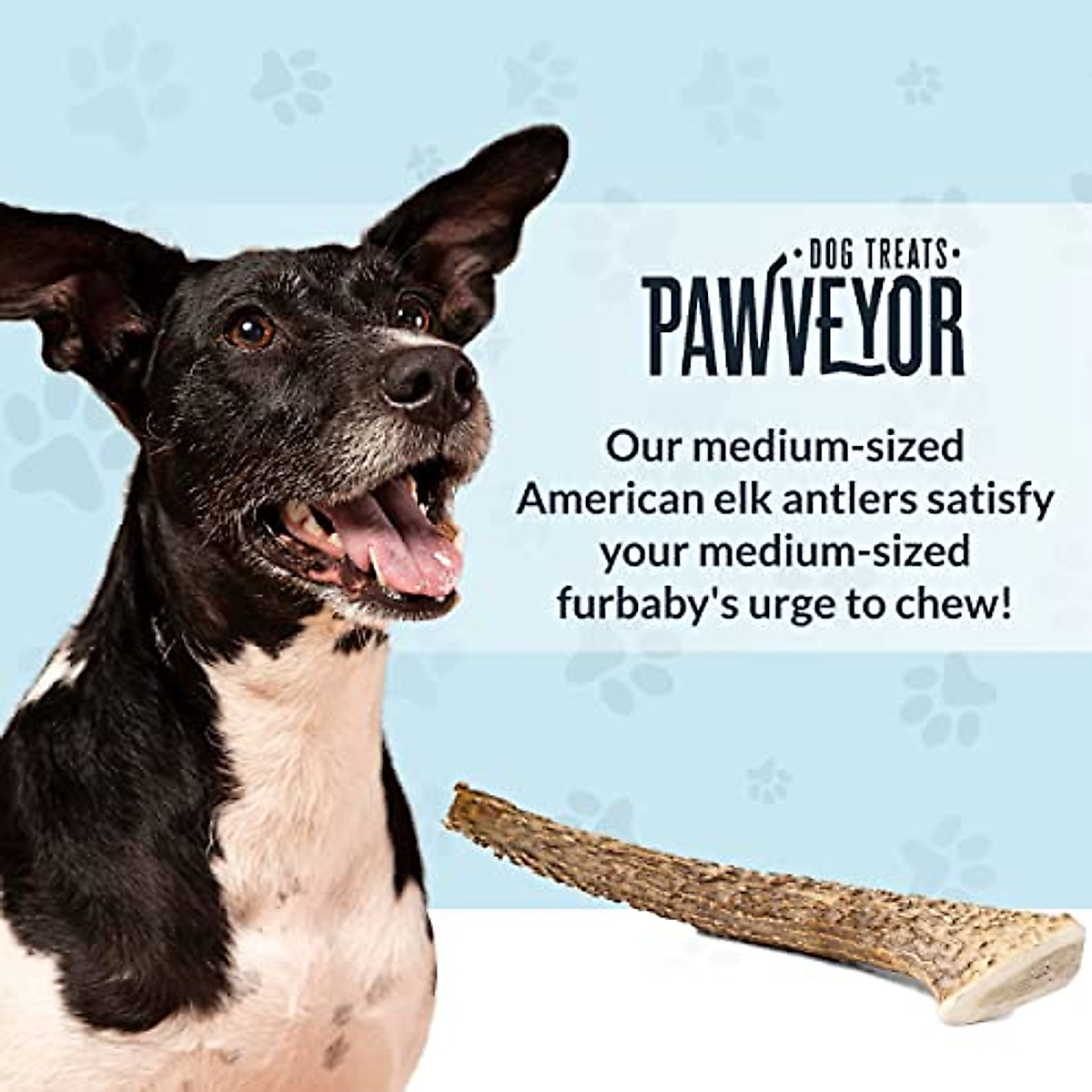 Pawveyor USA-Sourced Naturally Shed Elk Antlers For Dogs - 6" Grade-A Split & Whole Elk Antlers for Dogs Medium Sized and Aggressive Chewers - Ultra Long Lasting Dog Chew, Odorless Rawhide Alternative