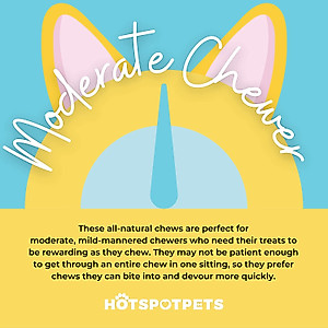 hotspot pets Beef Tendon Chews for Dogs - 6 Inch All Natural, Free-Range, Grass-Fed Premium Backstrap Tendon Dog Chews Treats