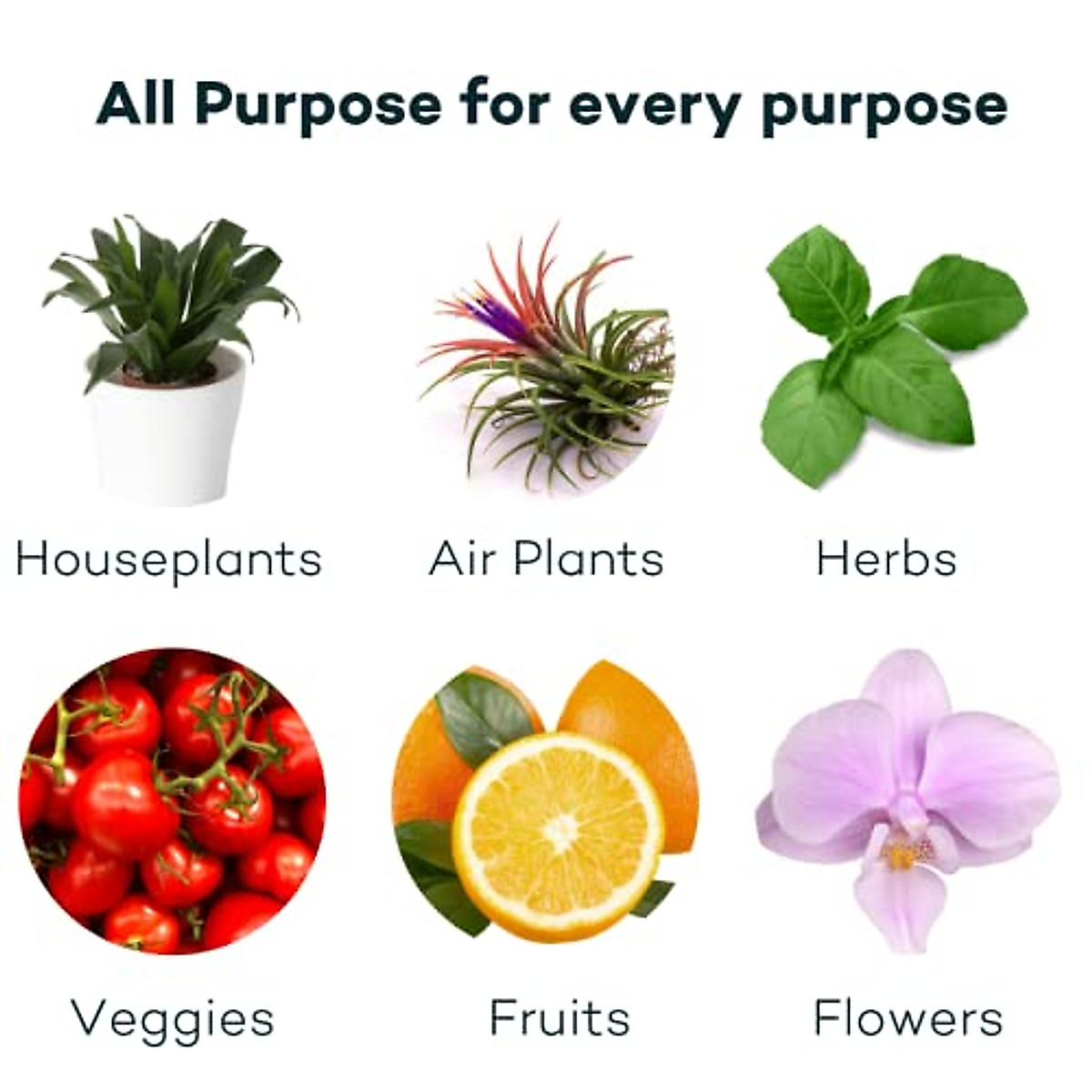 Fitleaf Leaf Vitality All Purpose 20-20-20 (3.52 oz) – Premium Foliar Feed Water Soluble Fertilizer to Spray for All Plants – Promotes Biomass Growth and Vibrant Leaf Color, Complete Plant Nutrition with Amino Acids (3.53 oz)