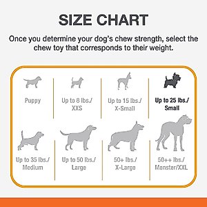 Nylabone Freezer Puppy Chew Toy - Puppy Chew Toy for Teething - Puppy Supplies - Peanut Butter Flavor, Small (1 Count)