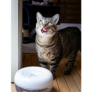 Purrfect Water Fountain Filter Set: 5-Layer Filter and Sponge Filter
