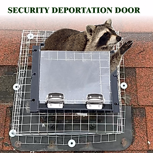 Raccoon One Way Eviction Door, Raccoon Trap Live Catcher, The Raccoon Trap Contactless Excluder for Attics, Under Decks, and Chimneys, DIY Installation(with 8 Tie Tapes)