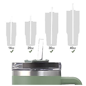 6 Pack Replacement Straws for Stanley Cup Accessories,Compatible Stanley Adventure Quencher Travel Tumbler&Stanley 40 oz Tumbler,Reusable Straws Plastic Straws