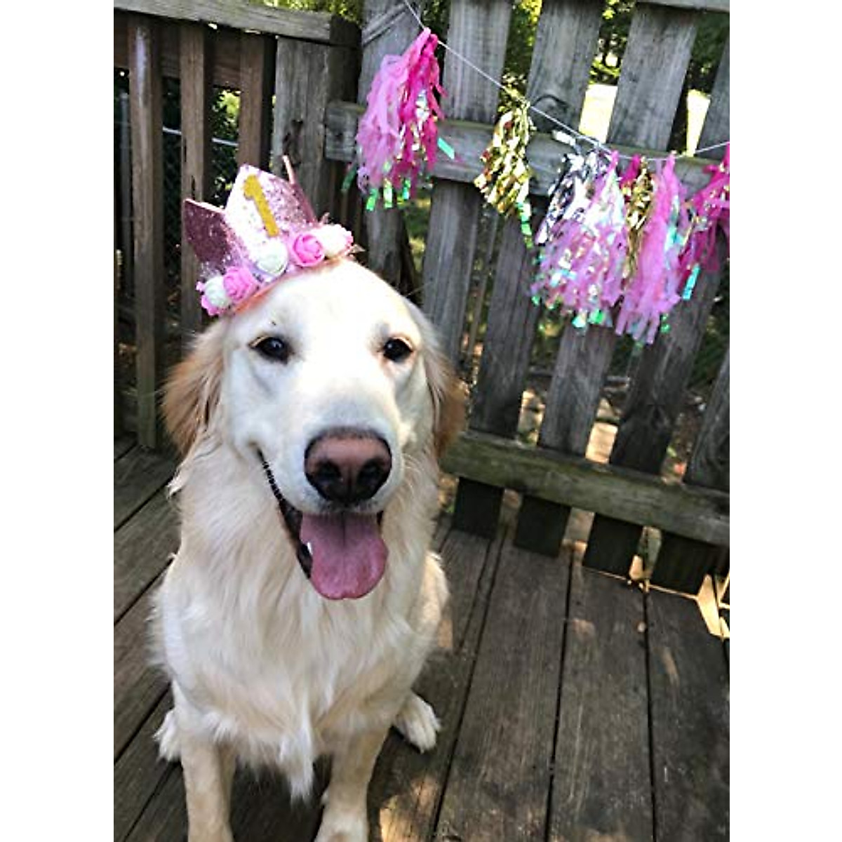 PET SHOW Pink Crown Dog Birthday Party Hat for Girls Reusable Birthday Party Cat Kitten Headband with 0-9 Figures Charms Grooming Accessories with Glue Pack of 1