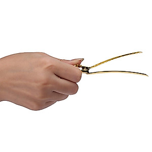 Stainless Steel Hair Prong and Duckbill Sectioning Clips - Barrettes for Hairstyling and Salon Use