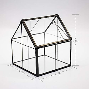 Ferrisland Glass Plant Terrarium Container Wardian Case Indoor Small Succulent Terrarium Planter w/Door for Tabletop Decor DIY Gift - 5.0"x4.3"x4.3"