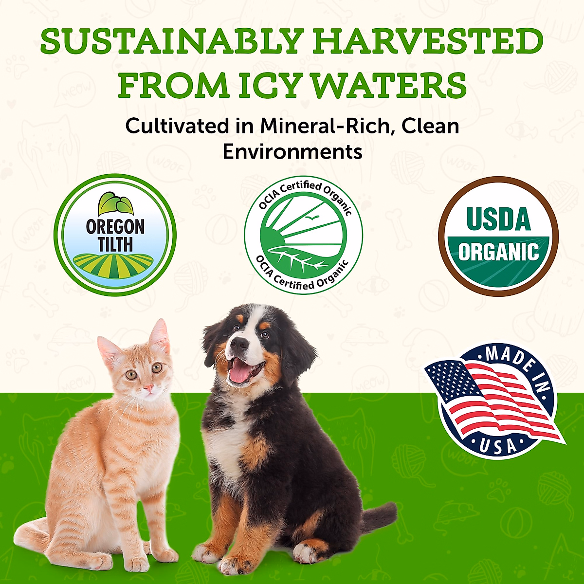 Animal Essentials Ocean Kelp for Dogs & Cats - Thyroid Support, Thyroid Supplement, Sea Kelp, Kelp Powder, Trace Mineral Supplement - 24 Oz