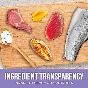 Health Extension Wet Cat Food Canned Bundle - Chicken Pate, Chicken & Duck, Chicken & Salmon, Gravy Beef & Salmon, Chicken & Tuna, Chicken & Pumpkin (2.8oz Each) - All Life Stages