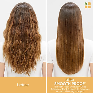 Biolage Smooth Proof Leave-In Cream | Controls Frizz, & Detangles for Smoother, More Manageable Hair | Paraben-Free | For Frizzy Hair | 5.1 Fl Oz