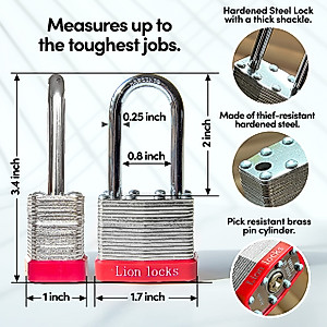 Lion Locks 12 Keyed Alike Padlocks with 2" Long Shackle, 24 Keys - Padlocks for Outdoor Use, Locks with Keys, Hardened Steel Case, Pick Resistant Brass Pin Cylinder for Hasp Latch, Locker, Gate