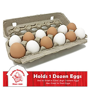 Vented Paper Pulp Egg Cartons (24 Pack)