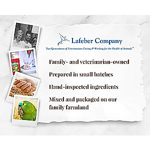LAFEBER'S Classic Avi-Cakes Pet Bird Food, Made with Non-GMO and Human-Grade Ingredients, for Parrots, 12 oz