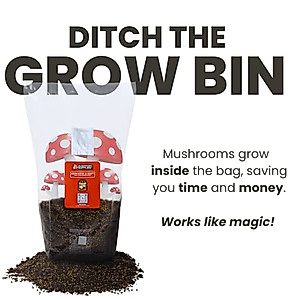 MushroomSupplies.com All in ONE Mushroom Grow Kit in-a-Bag (3 LBS) | Mushroom Grow Bag with Sterilized Grain and Substrate | Easy Grow Your Own Mushrooms