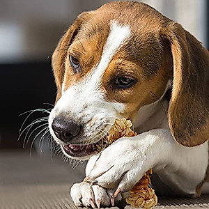 Jungle Calling Beef Tendons for Dogs, Chicken Wrapped Tendons Dog Chews Long Lasting Hip and Joint Supplement for Dogs with Glucosamine (Knotted Bone)