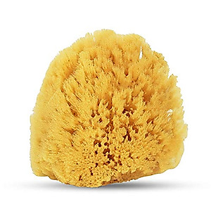 Baby Buddy Natural Yellow Sea Sponge, Baby Bath Sponge, Soft on Tender Skin, Hypoallergenic, Yellow, 4in, 1 Count