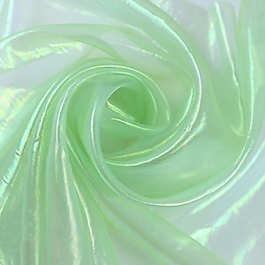 Tong Gu 59 x 39 inch Sheer Organza Fabric Voile Glitter Tulle Iridescent Mesh Wedding Costume Curtain DIY (Light Green)