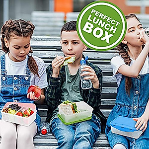 By Caleb Company 3 Pack Green Bento Boxes - 39 Ounce Divided Food Storage Containers With Lids - Leakproof, BPA Free Bento Lunch Box for Adults & Kids Lunches Is Safe For Dishwasher & Microwave