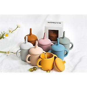 Sangyn 2 Pack Toddler Training Cup with Straw,BPA-Free,5 Oz Silicone Sippy Cups, Unbreakable, Trainer Cup for Babies Toddlers and Infants(Sky Blue, Brown)