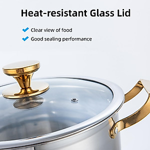 8 Quart Stainless Steel Stock Pot,Matching Tempered Glass Steam Vented Lids, 8 QT Composite Bottom Soup Pot,Induction Cooking Pot Capacity for Soup,Oven and Dishwasher Safe Pot