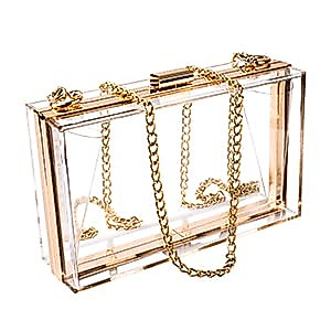 WEDDINGHELPER Transparent Clear Acrylic Square jelly Evening Bag for Women,Fashion Lovely Shoulder Bag for Dinner Party Travel (CLEAR1)