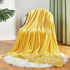 Mellowdy Plush Flannel Blanket Cozy Warm Soft Fleece Fall Fuzzy Throw Blanket for Couch Sofa Bed Camping Traveling Boys Girls (Misted Yellow, 50''x60'') - 320GSM