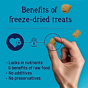 Stewart Freeze Dried Dog Treats, Zen Beef & Pumpkin, Anxiety Relief, Grain Free, 4 Ounce Resealable Pouch, Made in USA