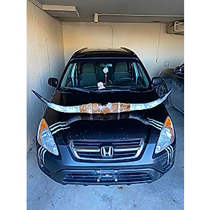 XXL Mounted Steer Cow Bull Texas Long Horns (One Set Only) Longhorn 5' 5" to 5' 11"