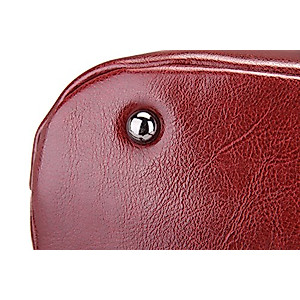 HESHE Leather Backpack Designer Purse for Women Fashion Ladies Travel College Shoulder Bag (Wine-J039)