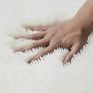 Asvin 5x7 Area Rug, Fluffy Living Room Area Rug, Luxury Large Area Rug, Non-Skid Fleece Carpets for Bedroom Home Décor, Soft Plush Furry Rug for Kids Room, Washable Floor Rug (5x7 Feet, White)