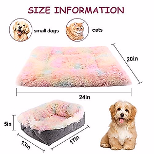 Chintu Rainbow Pet Bed Mat, Washable, Faux Fur, 24 x 20 Inches, for Small Medium Dogs and Cats, 2-in-1 Design