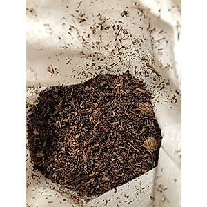 Red Wiggler Composting Worms - Reduce Waste and Improve Your Soil (0.25 lbs / ~250 worms)