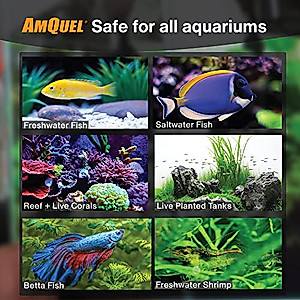 Kordon AMQUEL One-Step Aquarium Water Conditioner - Removes Chlorine & Chloramines Fast, Detoxifies Ammonia, for Freshwater & Saltwater Aquariums, 1-Gallon