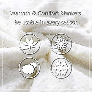 Girls Rose Fleece Throw Blanket Rose Blooming Floral Print Sherpa Blanket Women Romantic Flowers Pattern Plush Blanket Luxury Red Black Decor Fuzzy Blanket for Sofa Bed Couch,Twin 60x80 Inch