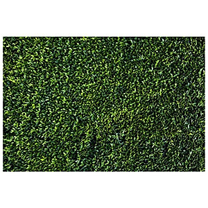 XLL 10x8ft Vinyl Nature 3D Spring Green Leaves Photo Background Newborn Baby Shower Photography Backdrops Wedding Birthday Party Backdrops Banner Studio Props Cake Table Booth