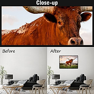 Visual Art Decor Large Animals Canvas Wall Art Texas Longhorn in Sunset Farm Picture Prints Framed and Stretched Painting for Modern Home Living Room Decoration (28"x40" Origin)